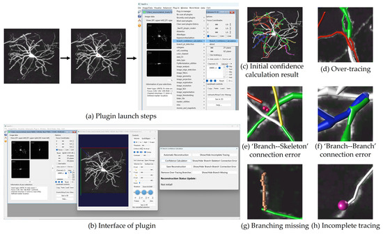 Complete Neuron Reconstruction Based on Branch Confidence