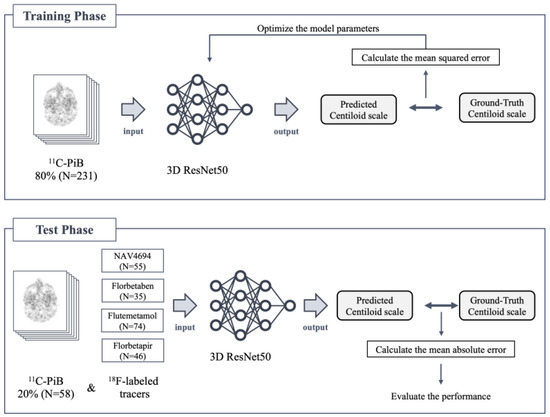 Brain Sciences | Free Full-Text | Deep Learning-Driven Estimation of ...