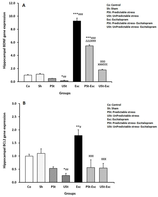 Protective Effects of Long-Term Escitalopram Administration on Memory ...