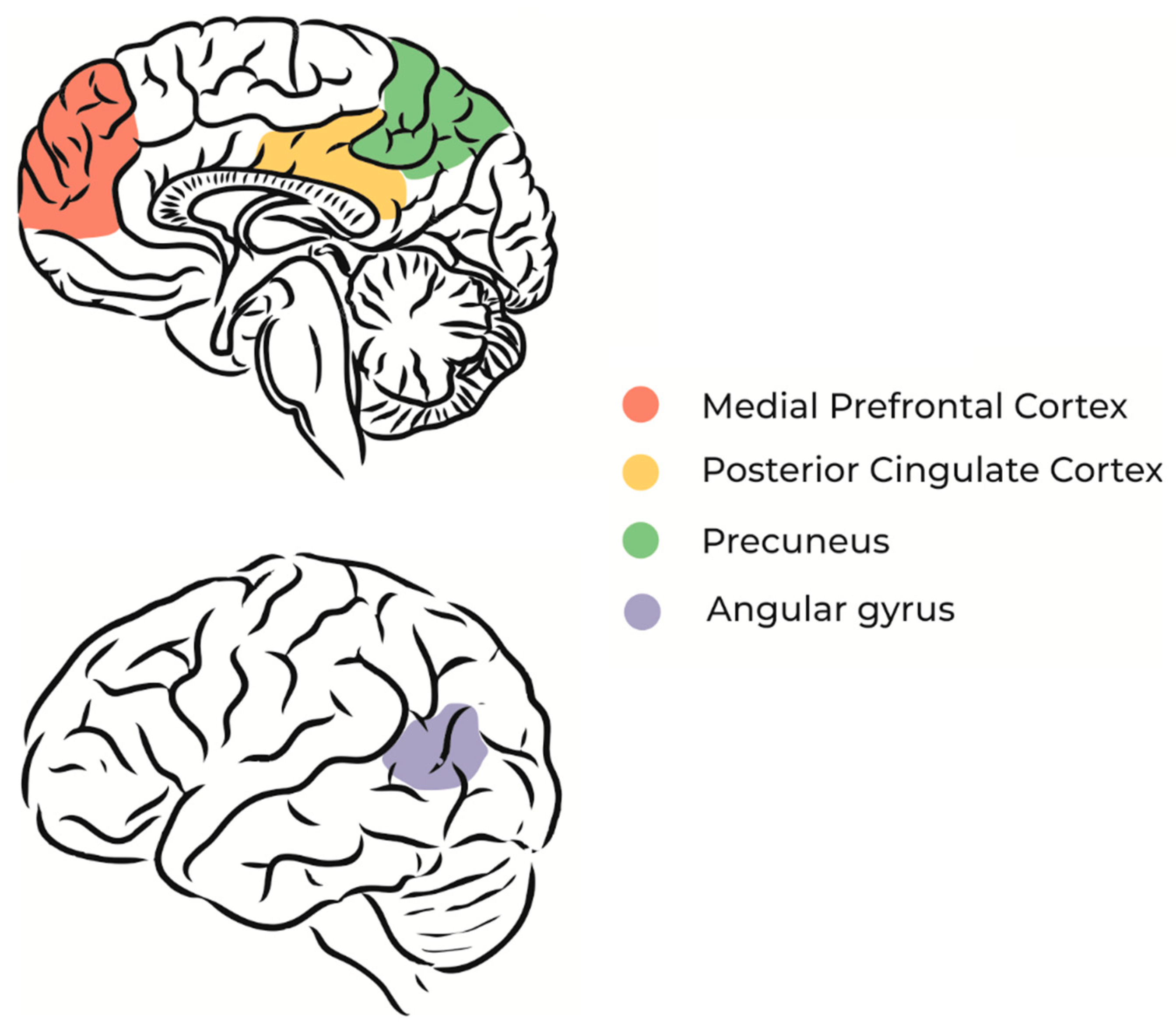 Brain Sciences | Free Full-Text | Neuropsychopharmacological Induction ...