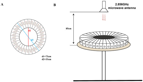 Mechanism of Microwave Radiation-Induced Learning and Memory Impairment ...