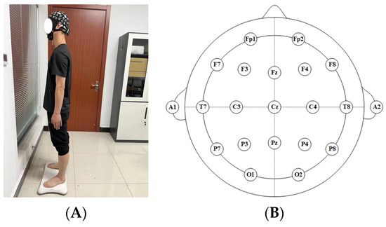 Research on Brain Networks of Human Balance Based on Phase Estimation ...