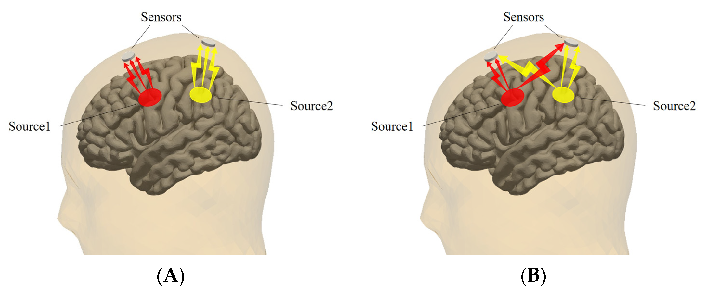 Research on Brain Networks of Human Balance Based on Phase Estimation Synchronization