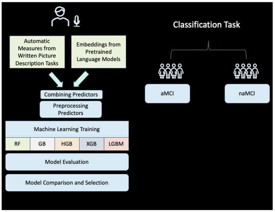 Machine Learning Classification of Patients with Amnestic Mild ...