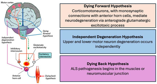 Brain Sciences | Free Full-Text | Physiological Biomarkers of Upper ...