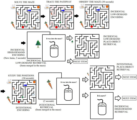 Correlates of Theta and Gamma Activity during Visuospatial Incidental ...