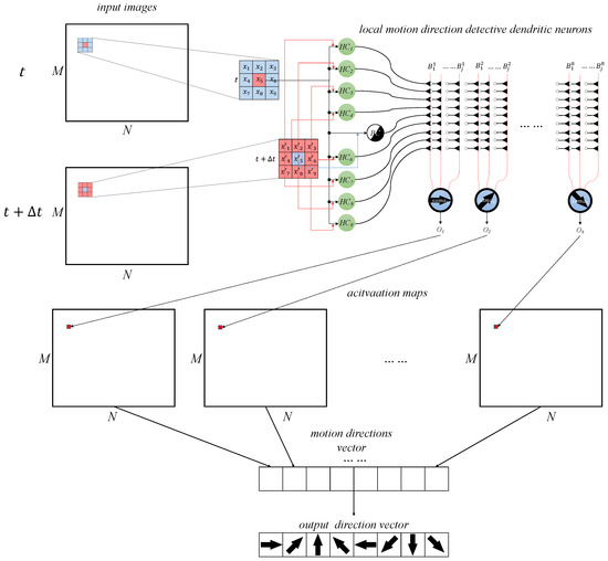 A Learning Dendritic Neuron-Based Motion Direction Detective System and Its Application to ...