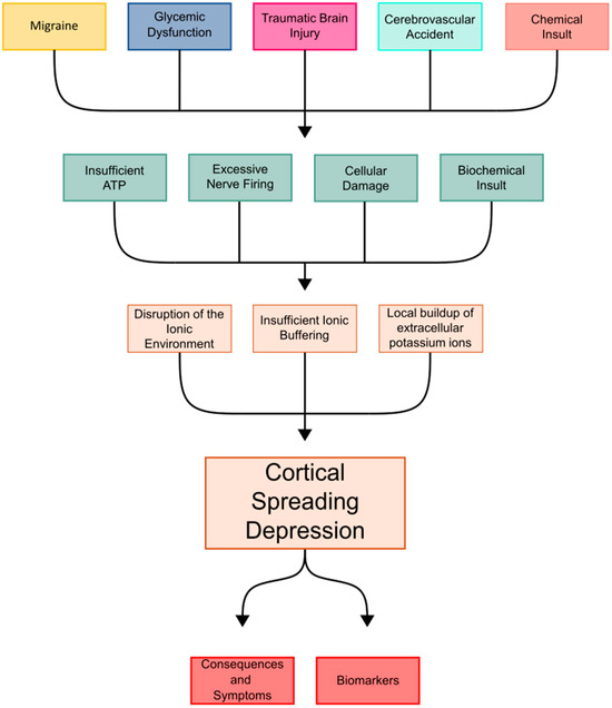 Metabolic Pathophysiology of Cortical Spreading Depression: A Review