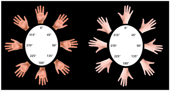 The Brain Activation of Two Motor Imagery Strategies in a Mental ...