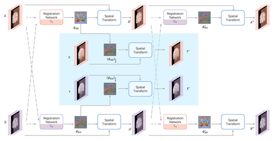 Non-Rigid Cycle Consistent Bidirectional Network with Transformer for Unsupervised Deformable ...