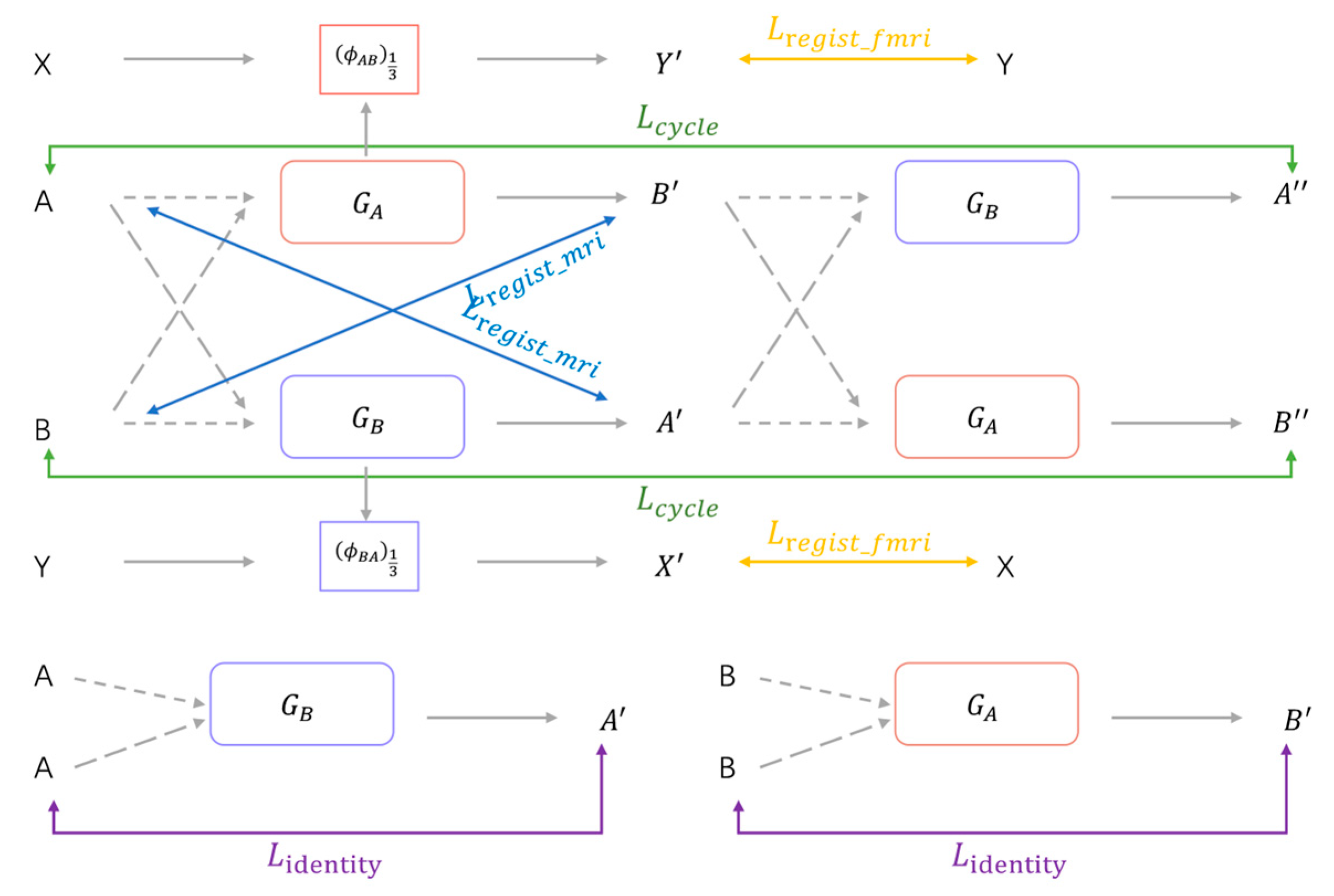 Non-Rigid Cycle Consistent Bidirectional Network with Transformer for Unsupervised Deformable ...