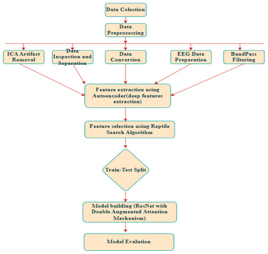 EEG-Based ADHD Classification Using Autoencoder Feature Extraction and ResNet with Double ...