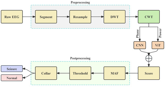 EEG-Based Seizure Detection Using Dual-Branch CNN-ViT Network ...