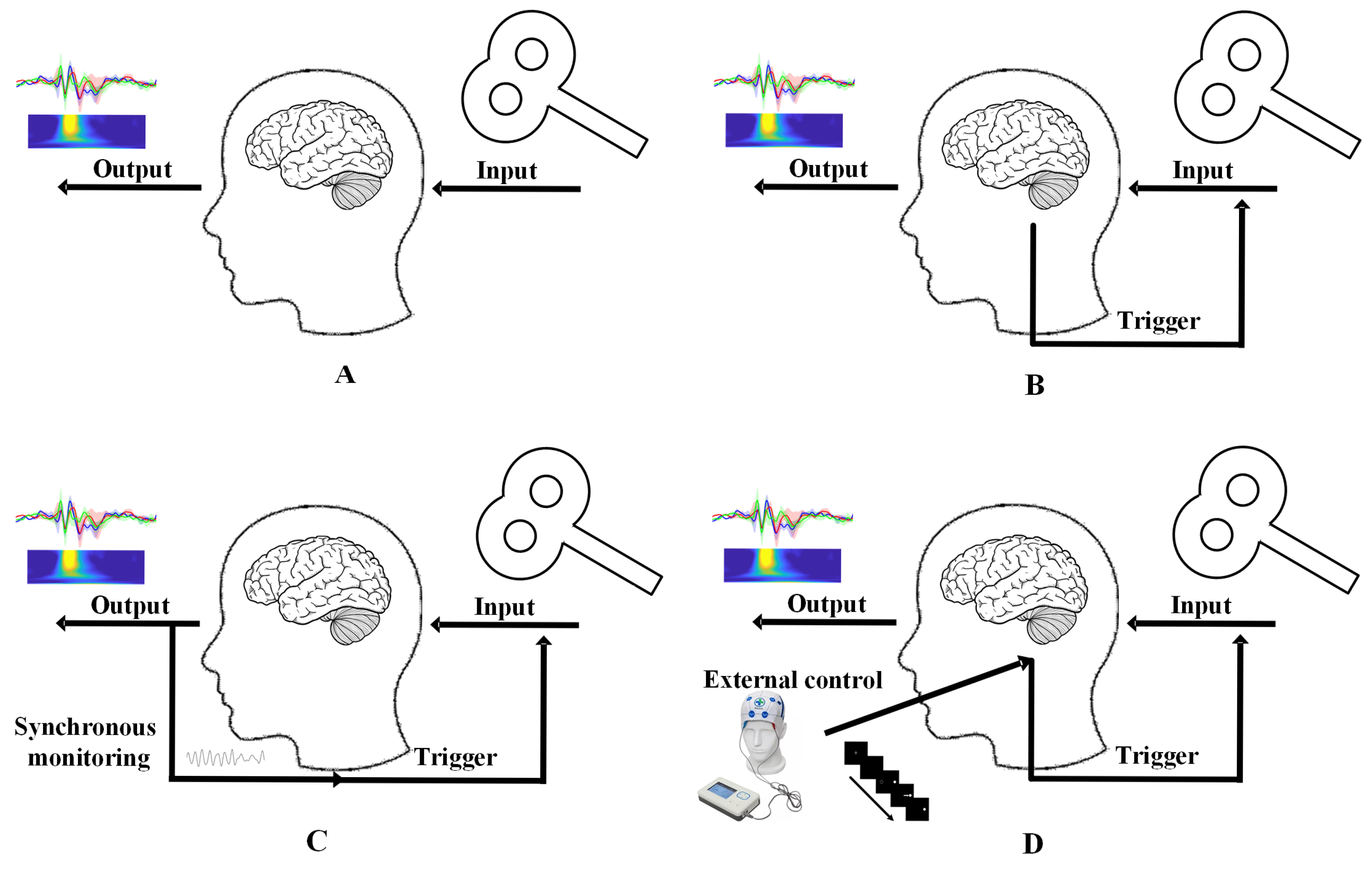 State-Dependent Transcranial Magnetic Stimulation Synchronized with ...