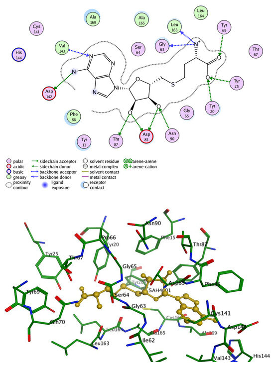 Implications of Indolethylamine N-Methyltransferase (INMT) in Health ...