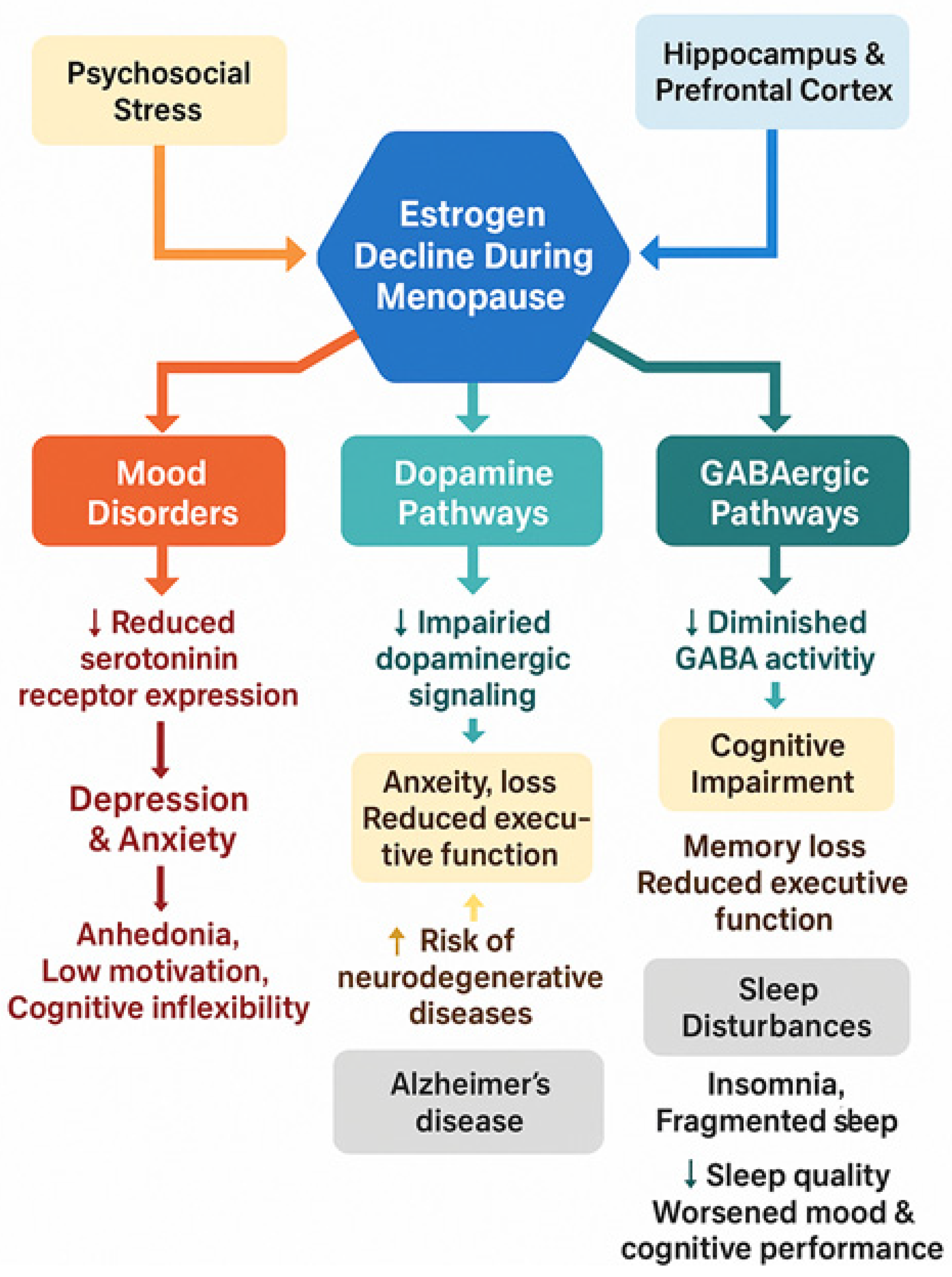 Beyond Hot Flashes: The Role of Estrogen Receptors in Menopausal Mental ...