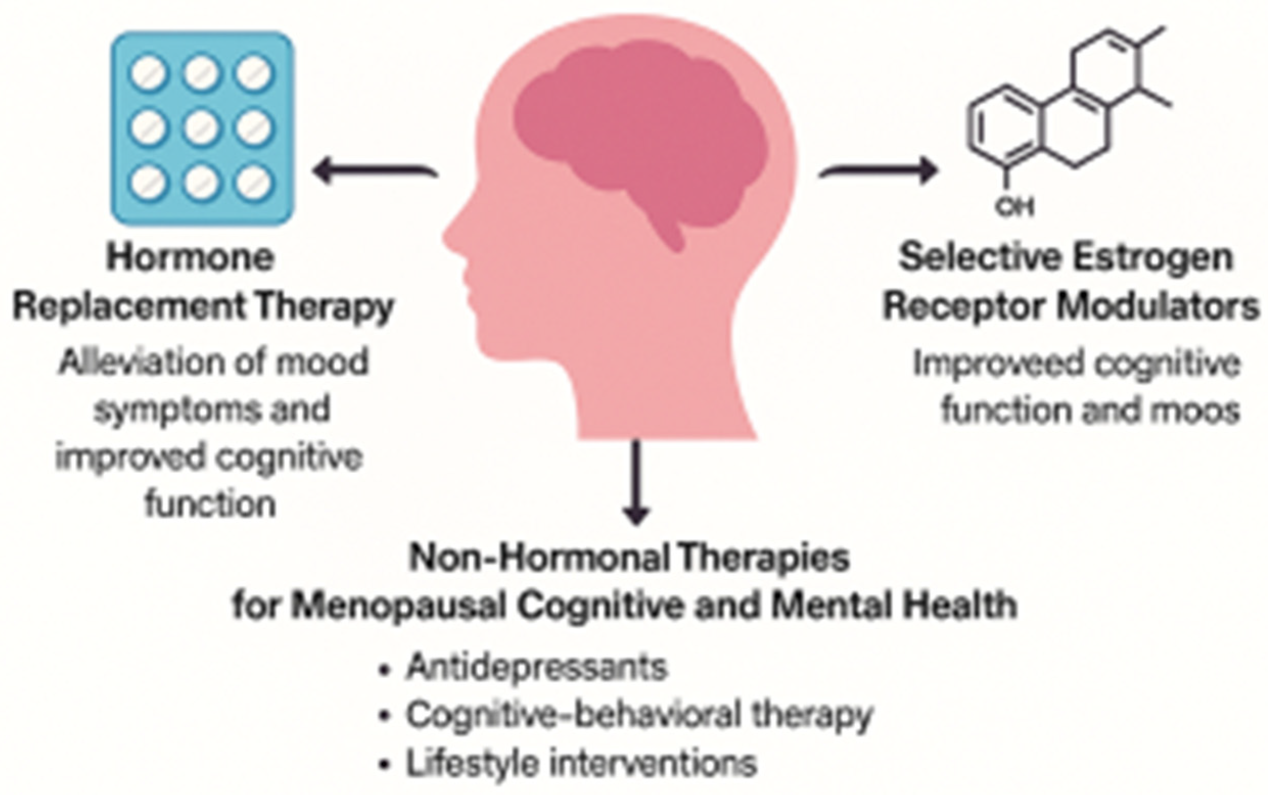 Beyond Hot Flashes: The Role of Estrogen Receptors in Menopausal Mental ...