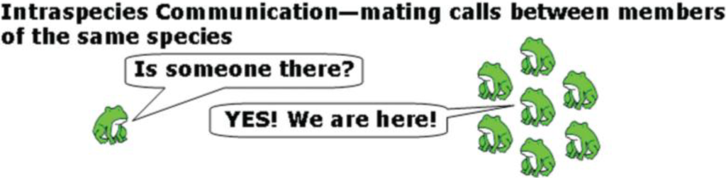 Basic Research in Human–Computer–Biosphere Interaction