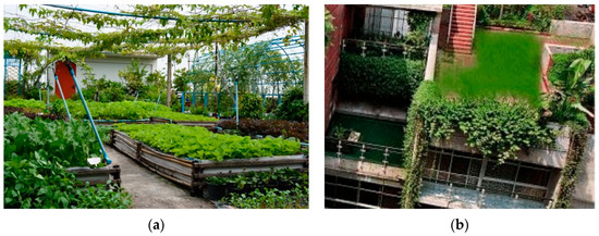 Perception and Barriers to Implementation of Intensive and Extensive ...