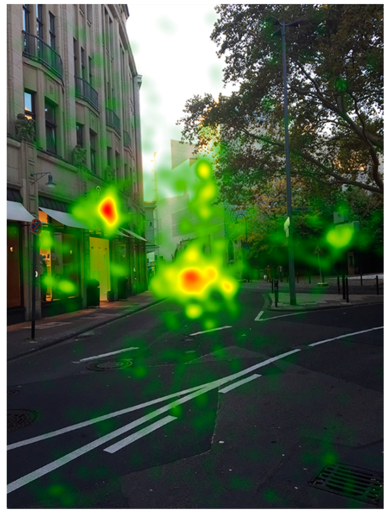 Suitability of Eye Tracking in Assessing the Visual Perception of ...