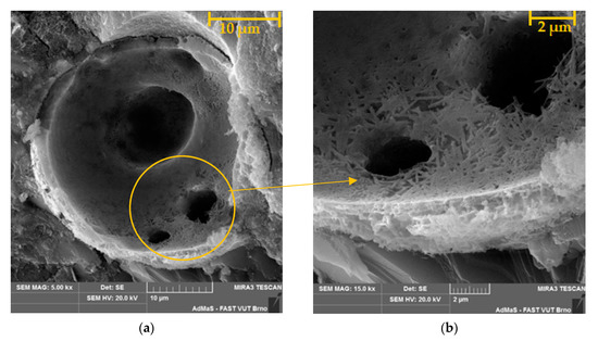 The Influence of Crystalline Admixtures on the Properties and ...