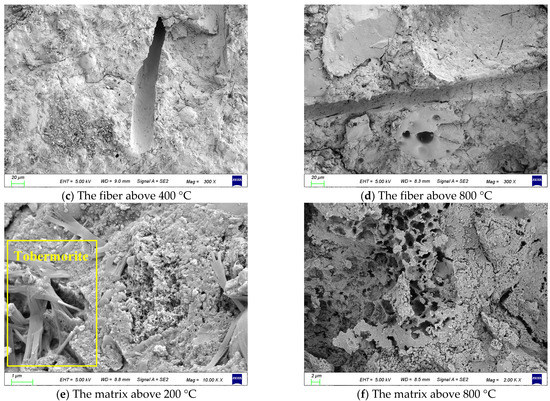 Buildings | Free Full-Text | Transport Properties and Resistance ...