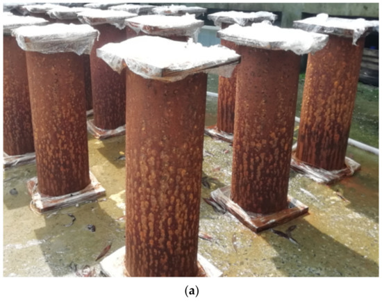Behavior of Corroded Thin-Walled Concrete-Filled Steel Tubular Stub Columns