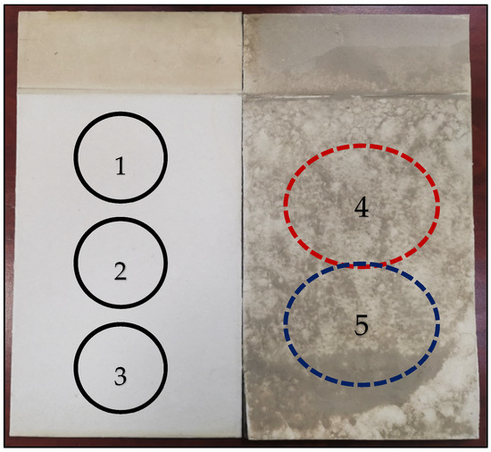 Effects of Natural Weathering on the Performance of High Solar ...