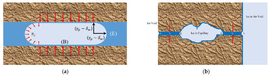 Damage Mechanism and Modeling of Concrete in Freeze–Thaw Cycles: A Review
