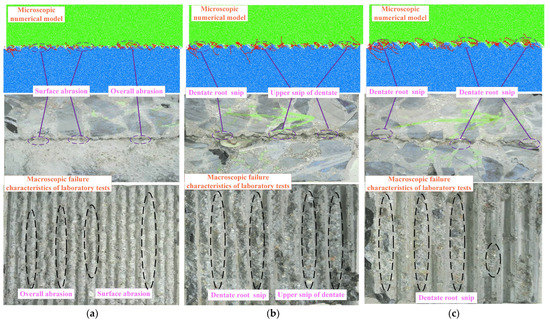 Study on Shear Mechanical Properties and Microscopic Failure Mechanism of Dentate Joints Based ...