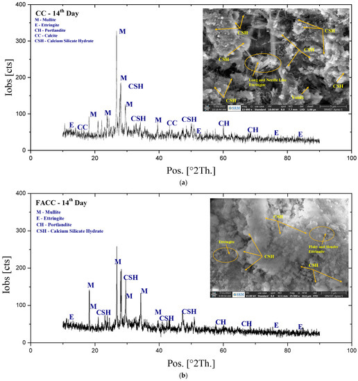 Study on Mechanical and Microstructural Properties of Concrete with Fly ...