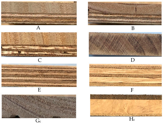 Janka Hardness Evaluation of Plantation-Grown Eucalyptus nitens for ...