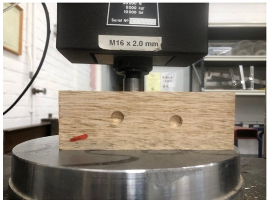 Janka Hardness Evaluation of Plantation-Grown Eucalyptus nitens for ...