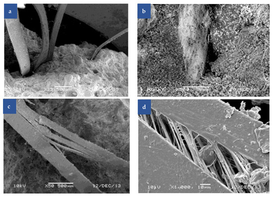 A Review on Failure Modes and Cracking Behaviors of Polypropylene ...