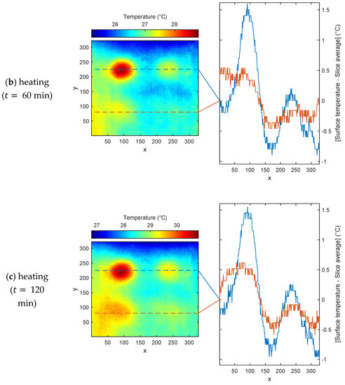 The Application of Two-Dimensional Continuous Wavelet Transform Based on Active Infrared ...
