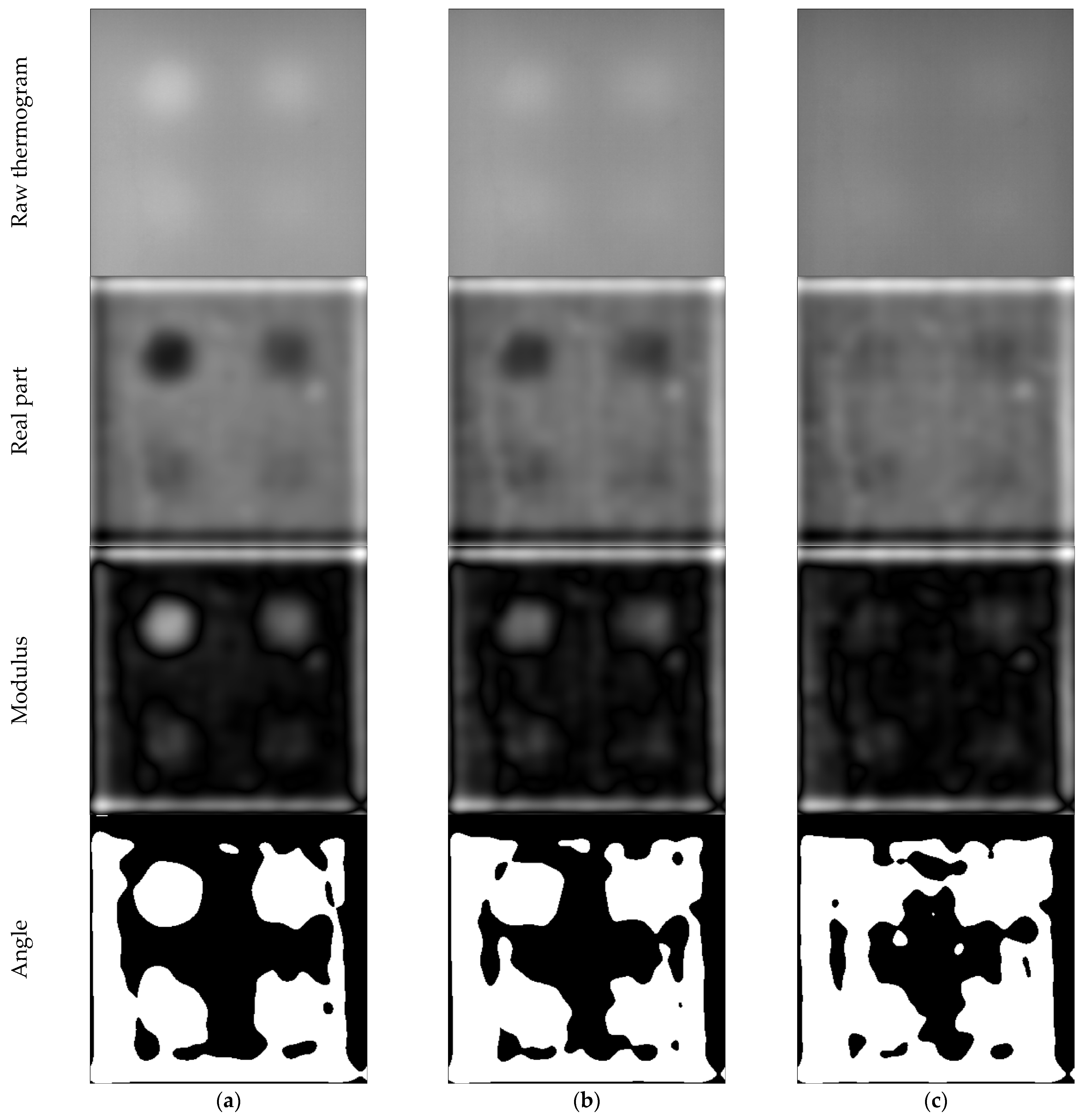 The Application of Two-Dimensional Continuous Wavelet Transform Based on Active Infrared ...