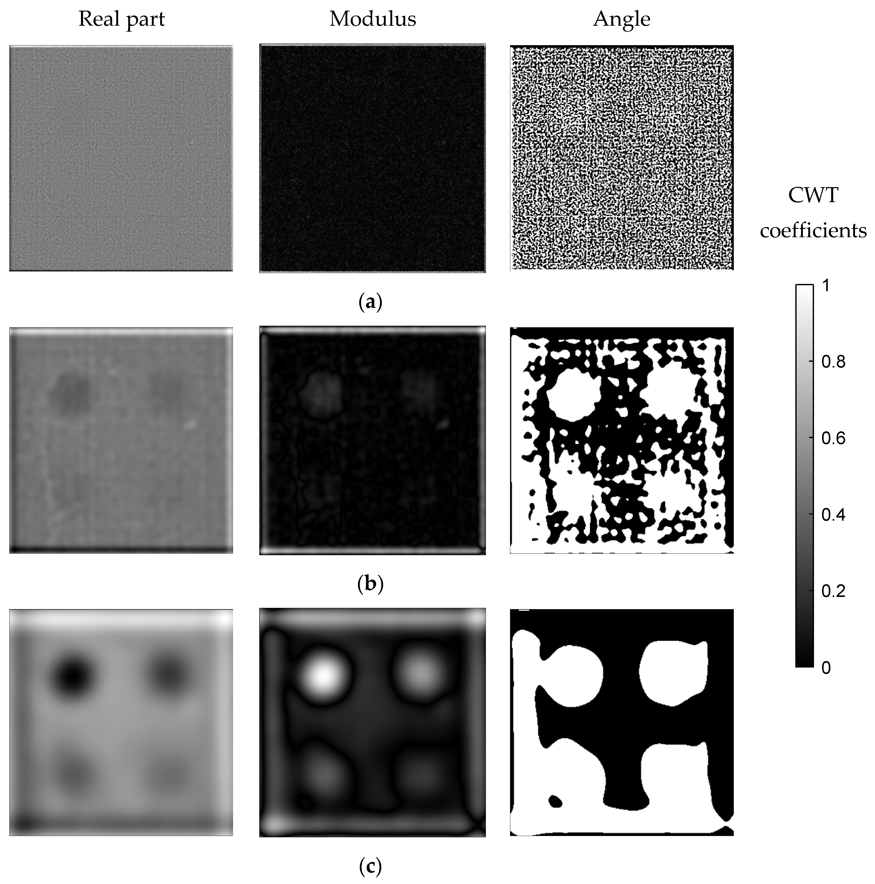 The Application of Two-Dimensional Continuous Wavelet Transform Based on Active Infrared ...