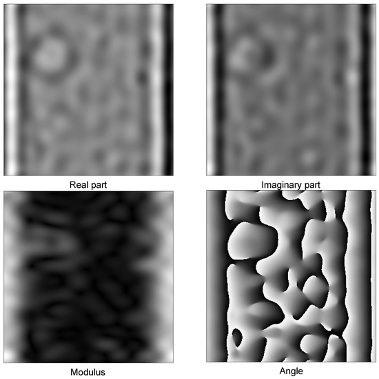 The Application of Two-Dimensional Continuous Wavelet Transform Based on Active Infrared ...