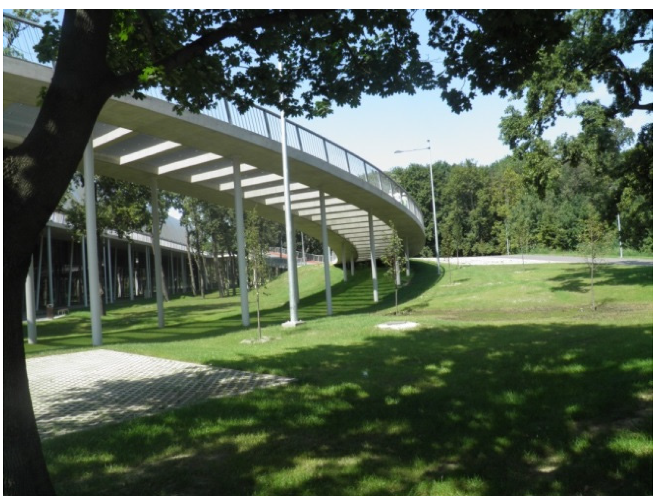 A Special Type of Multifunctional Stadiums: Great Forest Stadium in ...