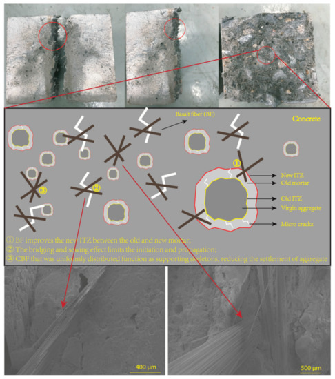 Mechanical Property and Dimensional Stability of Chopped Basalt Fiber ...