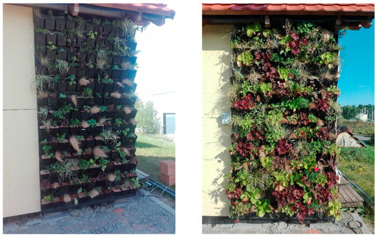 The Use of Advanced Environmentally Friendly Systems in the Insulation ...