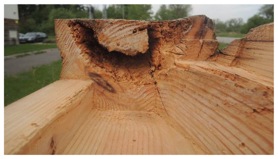 Repair of Old Timber Log House Using Cavity Filling with Compatible ...