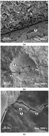 The Phenomenon of Cracking in Cement Concretes and Reinforced Concrete ...
