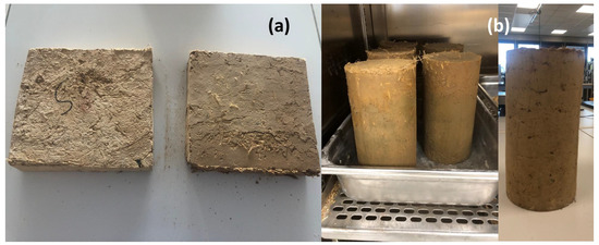 Earth-Based Building Incorporating Sargassum muticum Seaweed ...