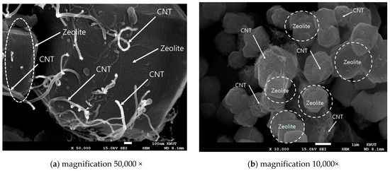 Development and Investigation of Repair Self-Sensing Composites Using S-CNT