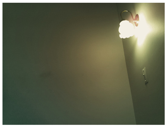 Development of a Low-Cost Luminance Imaging Device with Minimal ...