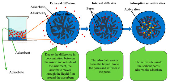 Research Progress on the Applications of Seashell Adsorption Behaviors ...