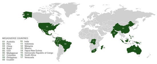 Interpretation Center for the Revaluation of Flora and Fauna in Cusco, Perú
