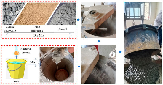 Cell Viability Studies on Bacillus sp. under Different Storage ...
