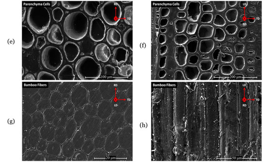 Bamboo as Sustainable Building Materials: A Systematic Review of ...